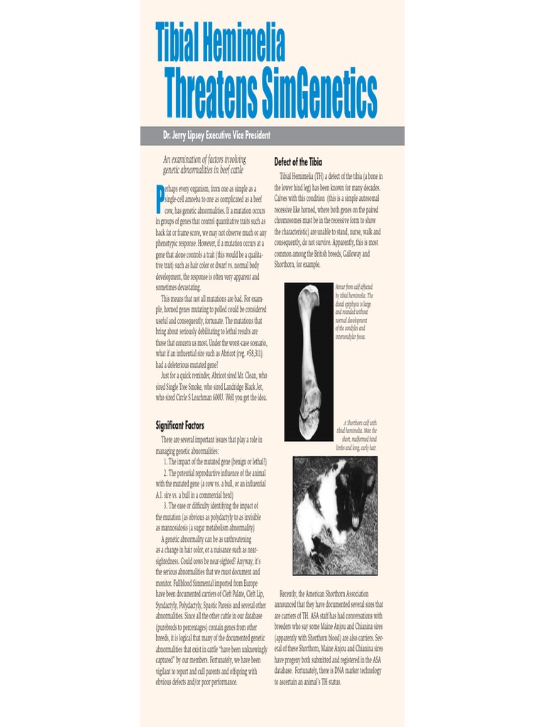 Tibial Hemimelia | PDF | Calf | Mutation