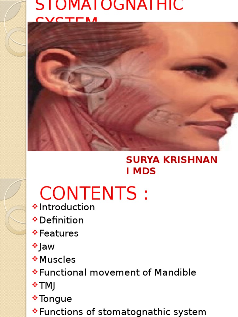 Stomatognathic System | PDF | Tongue | Human Head And Neck
