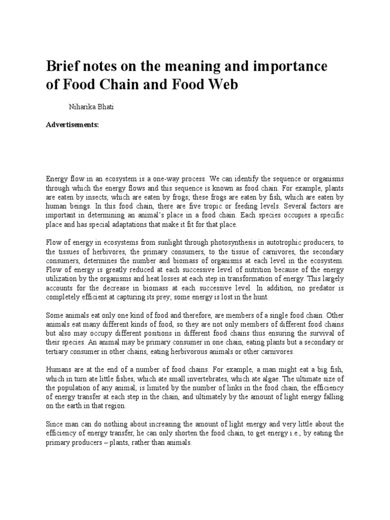 Brief Notes On The Meaning and Importance of Food Chain and Food Web ...