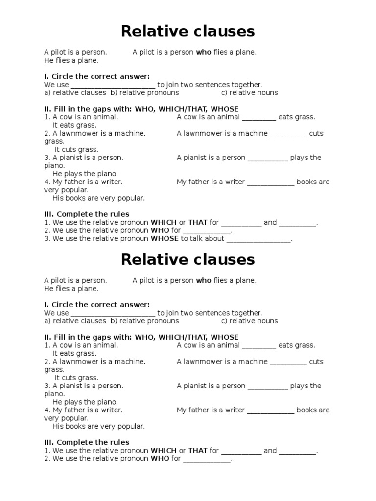 Dnevna Podgotovka PET BUSTER 10 Nastavno Livche Relative Clauses | PDF