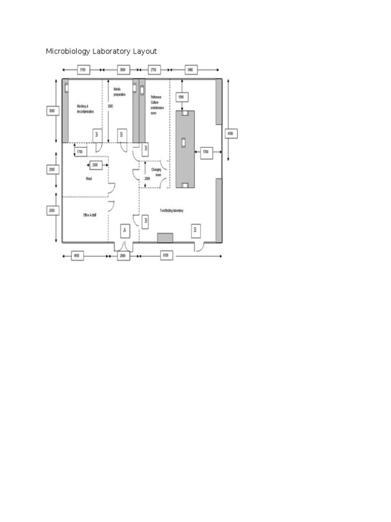 Microbiology Lab Layout Design