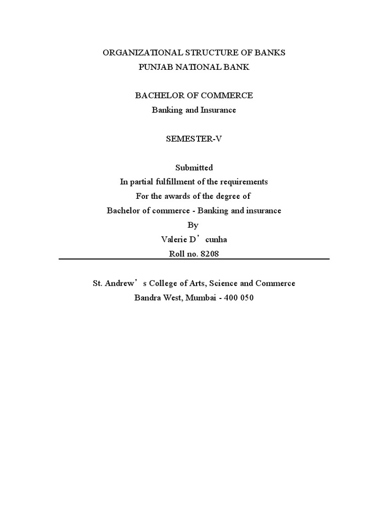 PNB Organizational Structure Overview | PDF | Cheque | Payments