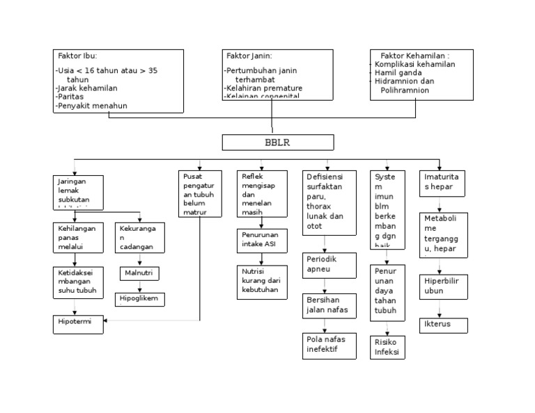 Pathway BBL Patologis | PDF | Kesehatan Holistik