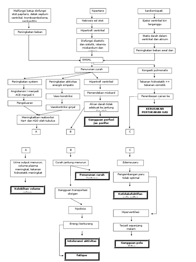 Pathway Gagal Jantung BARU | PDF