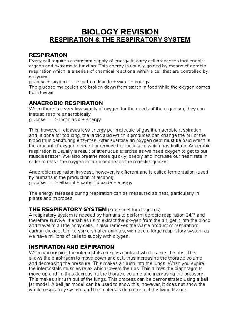 Biology - Respiration & The Respiratory System | PDF | Cellular ...