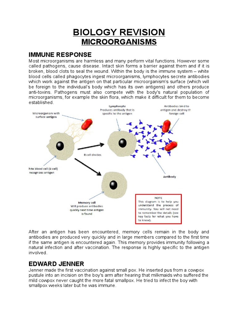 WJEC GCSE Biology Revision - Microorganisms | Vaccines | Public Health