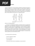 Test de Trendelenburg | PDF | Osteoartritis | Pelvis