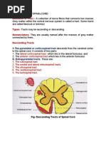 Ascending and Descending Tracts | PDF | Spinal Cord | Central Nervous System