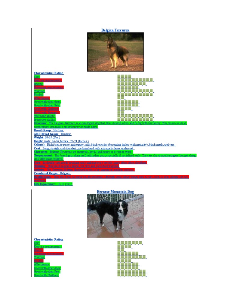 Dogs | PDF | Collie | Dogs