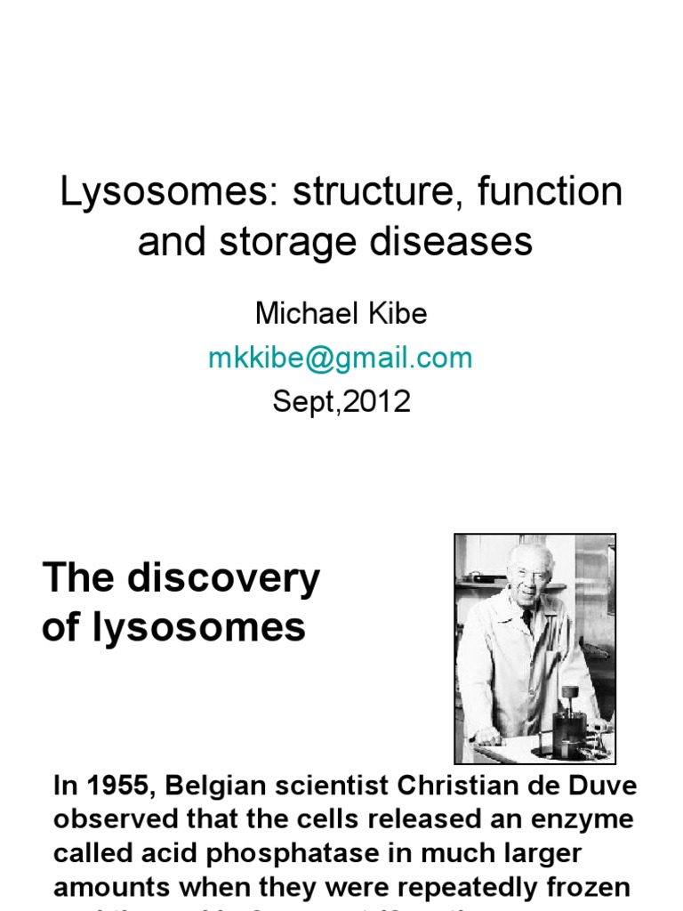 8.Lysosomes,Structure and Function | Lysosome | Vesicle (Biology And ...