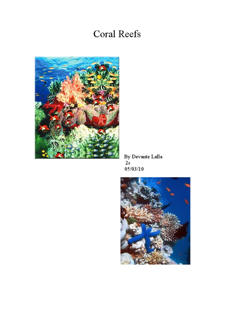 Coral Reefs | PDF | Coral Reef | Ocean Acidification