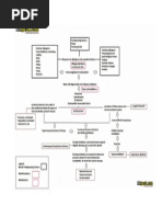 Stroke Pathophysiology Diagram | PDF