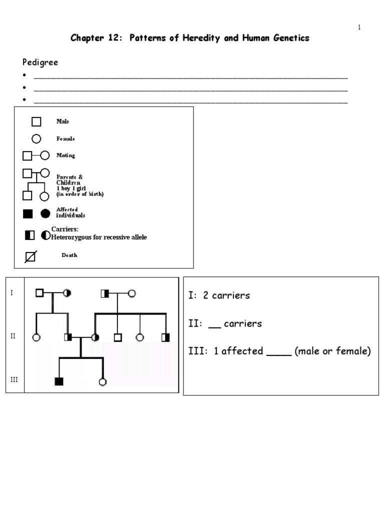 Chapter 12: Patterns of Heredity and Human Genetics | PDF | Phenotypic ...