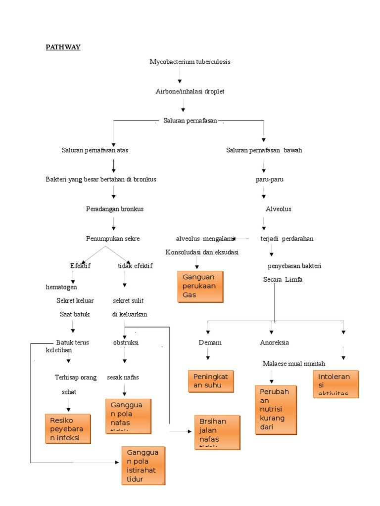 Pathway TB Paru dan Komplikasi Terkait | PDF