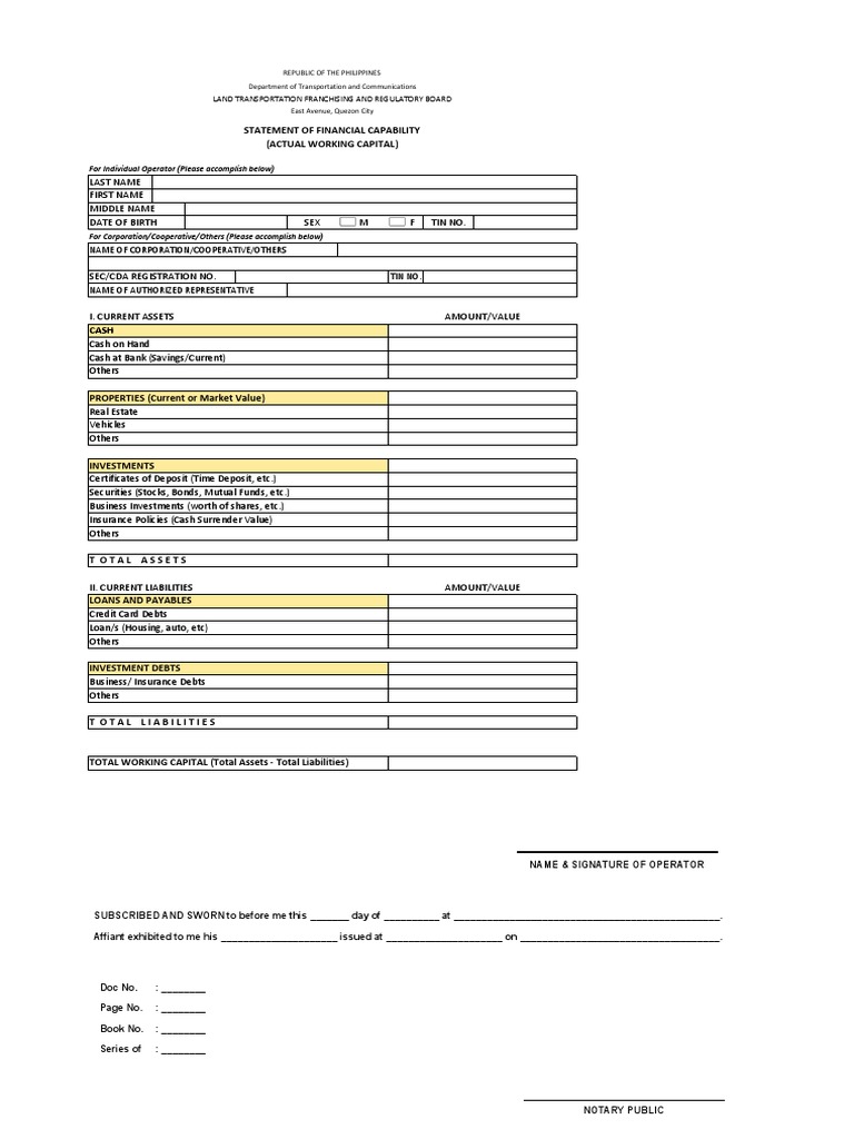 Statement of Financial Capability for Notarization