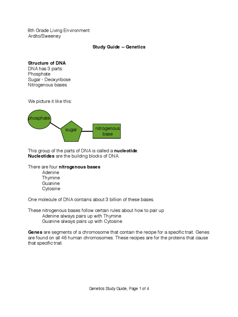 Genetics Study Guide | PDF | Dna | Genetics