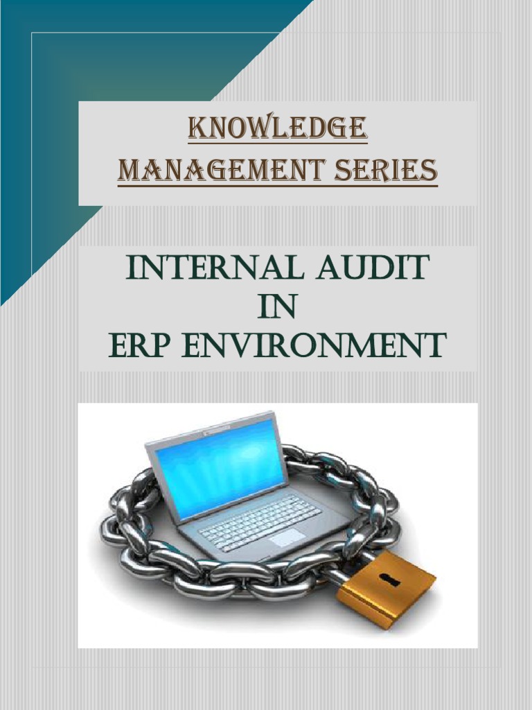 internal-audit-in-erp-environment.pdf | Enterprise Resource Planning ...