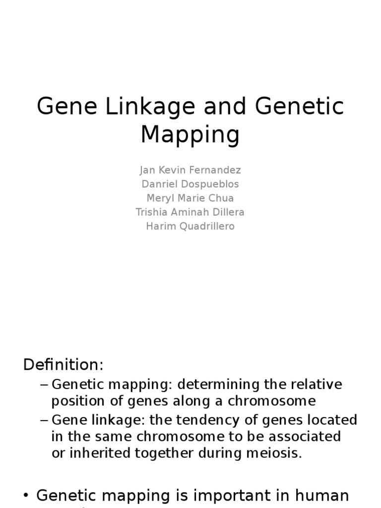 Gene Linkage and Mapping Explained | PDF | Genetic Linkage | Genetic ...
