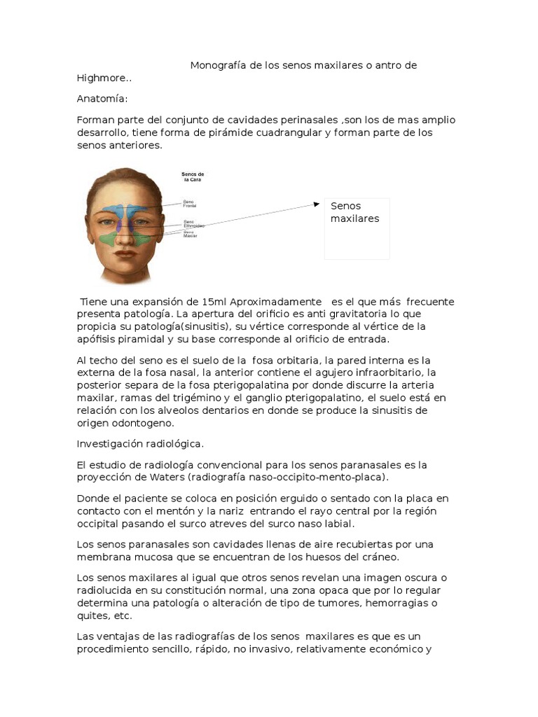 Monografía de Los Senos Maxilares o Antro de Highmore | PDF