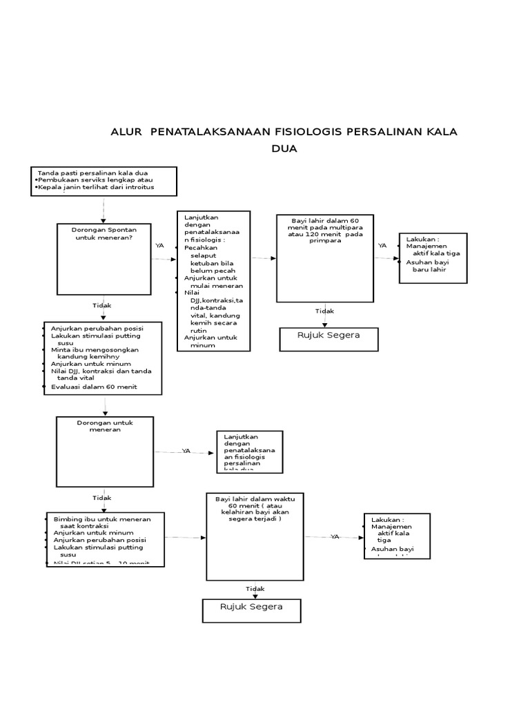 Alur Persalinan Kala Dua | PDF