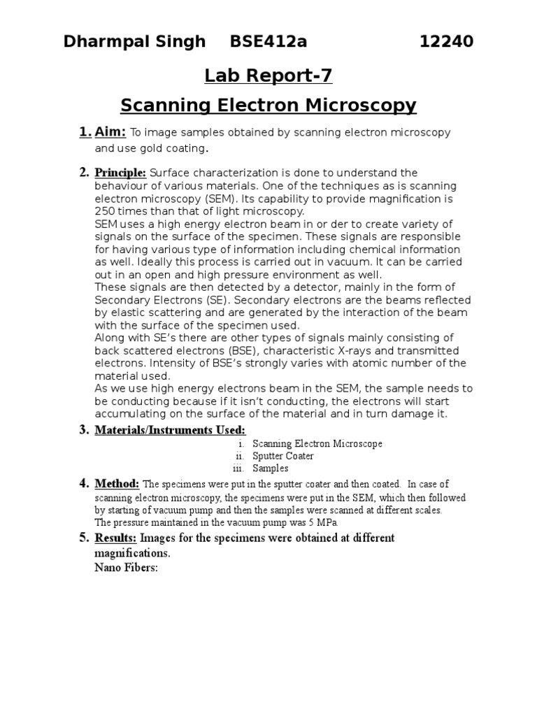 Lab Report 7 | PDF | Scanning Electron Microscope | Electron Microscope