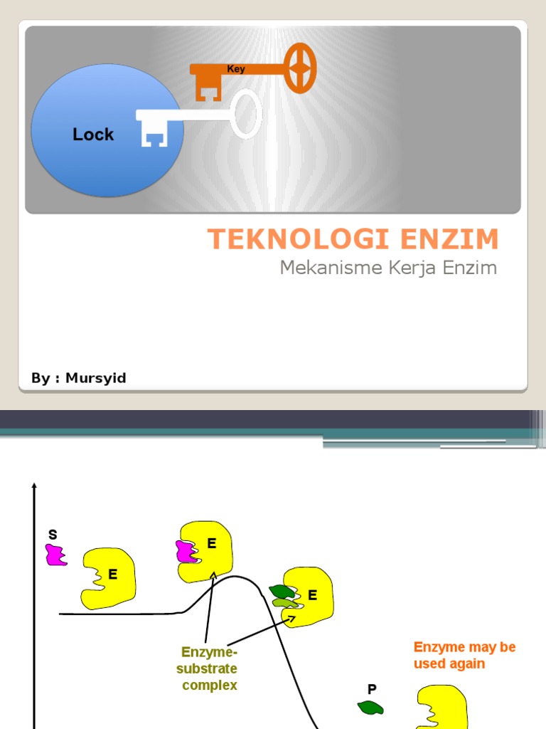 2. Mekanisme Kerja Enzim
