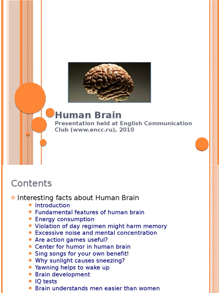 Human Brain: Presentation Held at English Communication Club (WWW ...