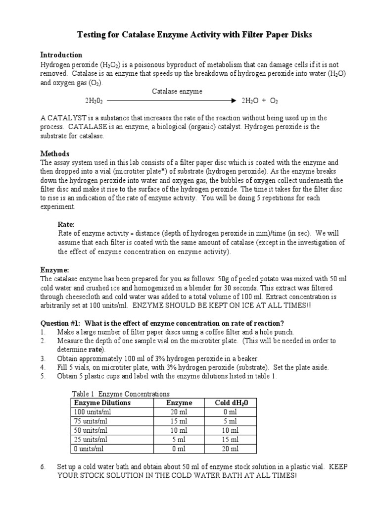 Filter Paper Catalase Enzyme Lab SL | PDF | Catalase | Hydrogen Peroxide