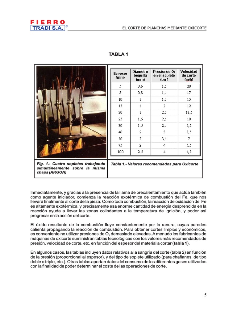 Guía De Oxicorte Para Profesionales Pdf Combustión Ingeniería