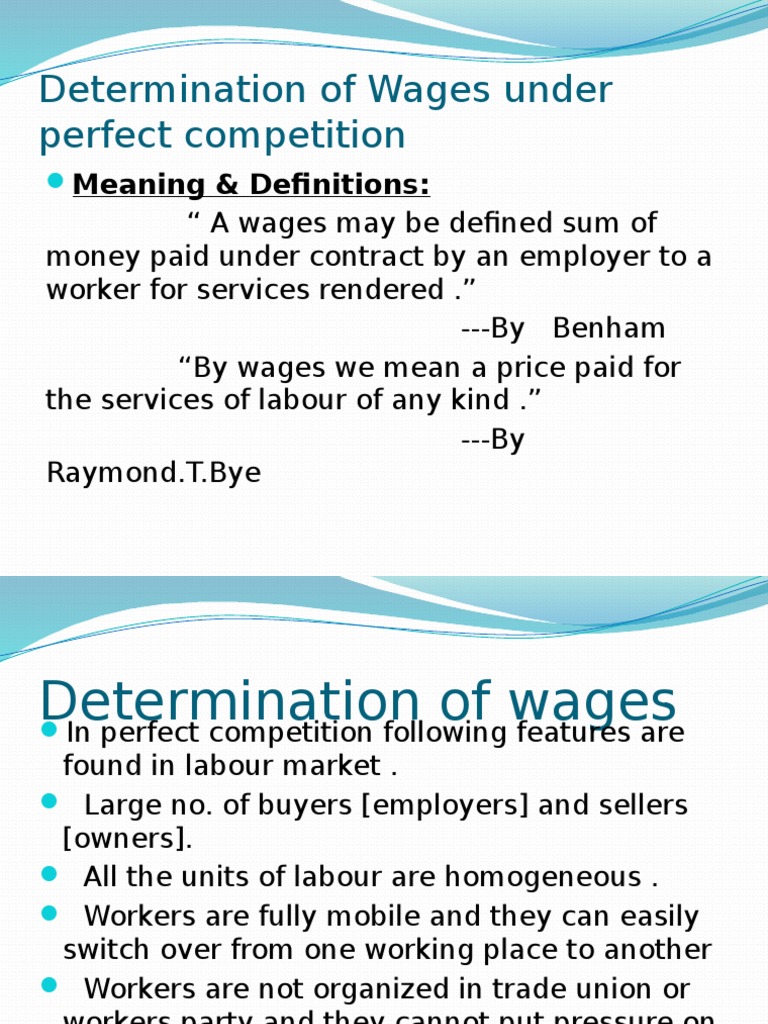 Wages Determination in Perfect Competition | PDF | Finance & Money ...
