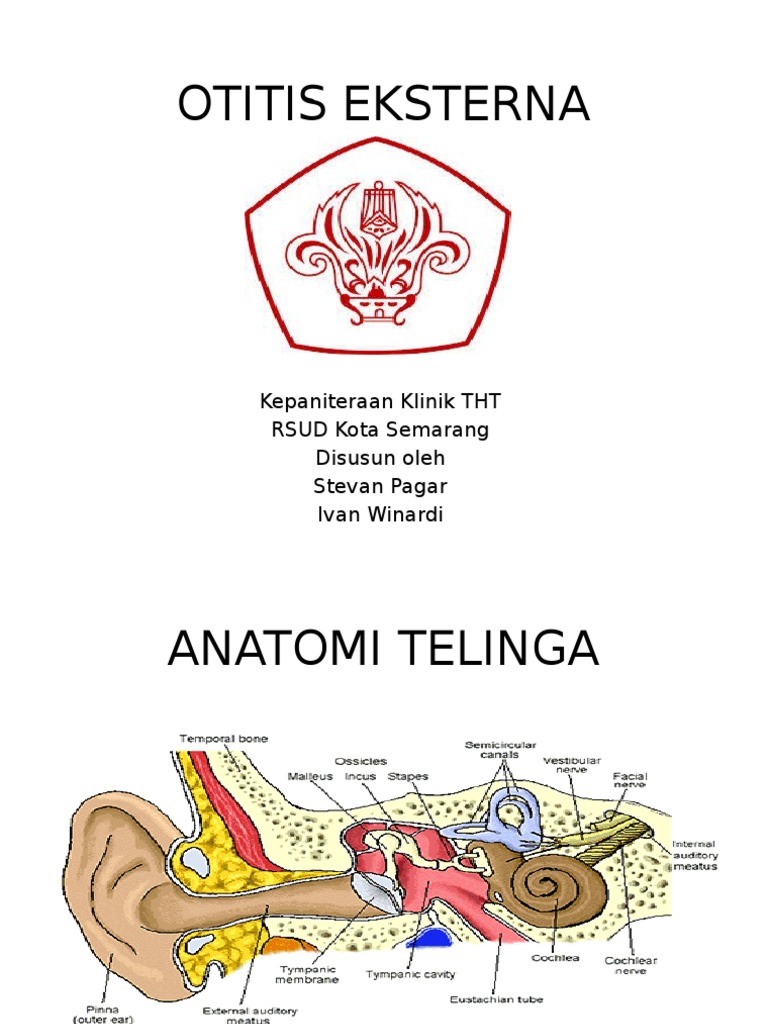 Otitis Eksterna | PDF