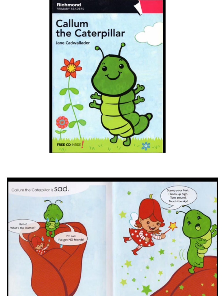 Callum The Caterpillar | PDF