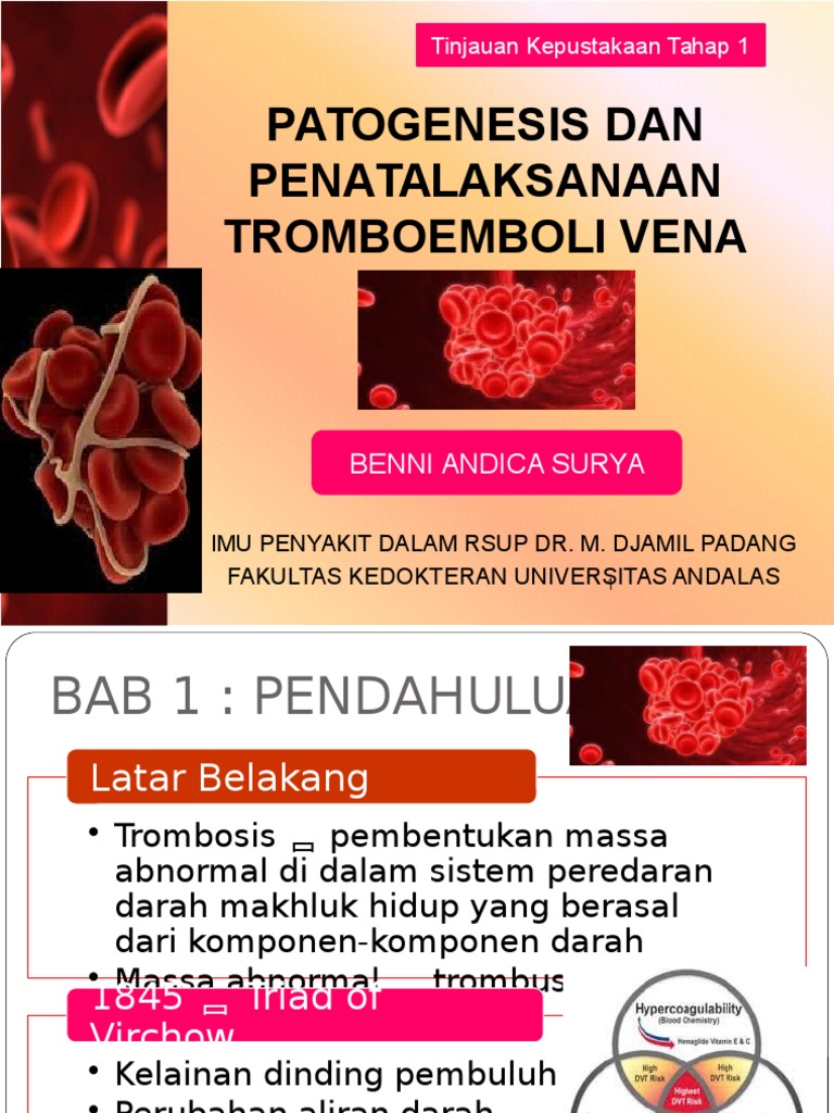 Patogenesis Dan Penatalaksanaan Tromboemboli Vena | PDF | Pengembangan ...