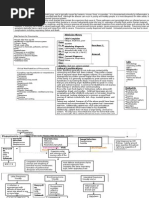 Cholecystitis Concept Map | PDF | Gallbladder | Medical Specialties