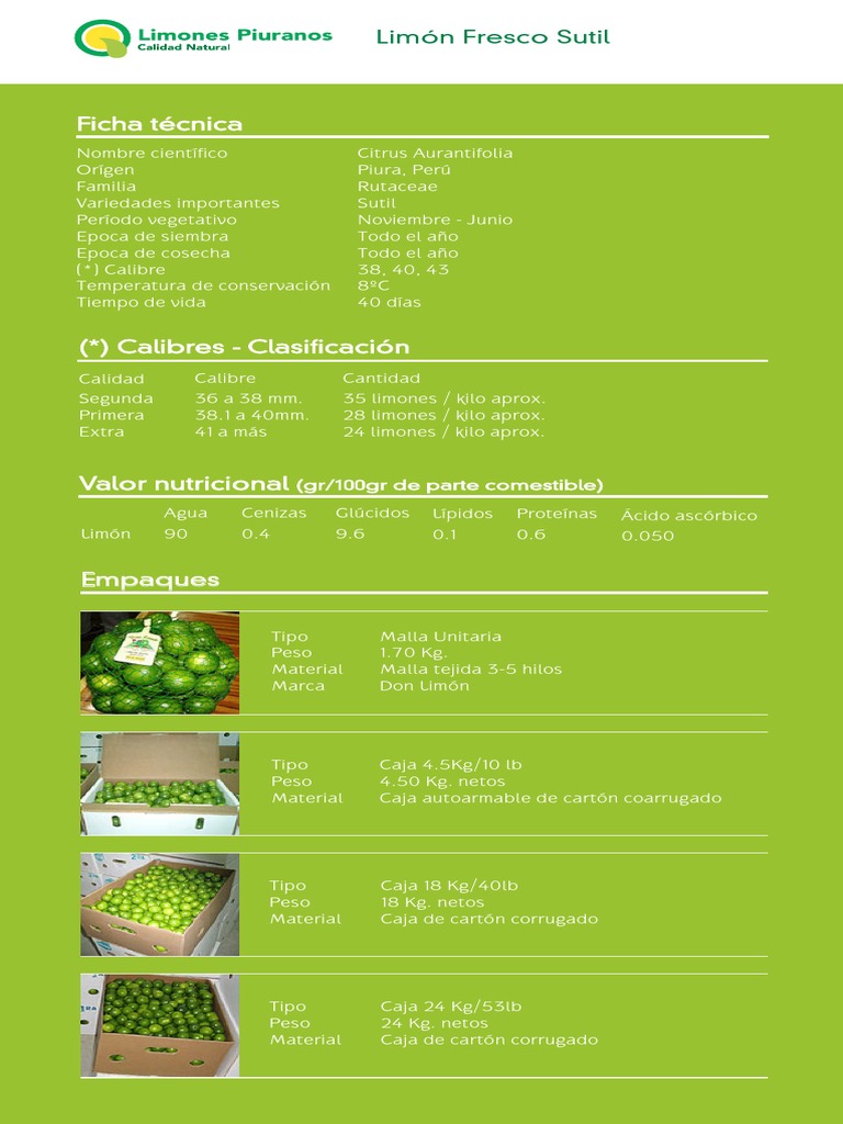 Ficha Limon (1)