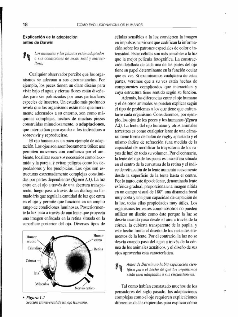 Boyd y Silk - Evolucion | PDF | Evolución | Ojo Boyd y Silk - Evolucion | PDF | Evolución | Ojo
