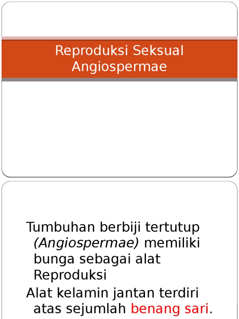 Reproduksi Seksual Angiospermae | PDF | Griya & Taman | Kesehatan Holistik