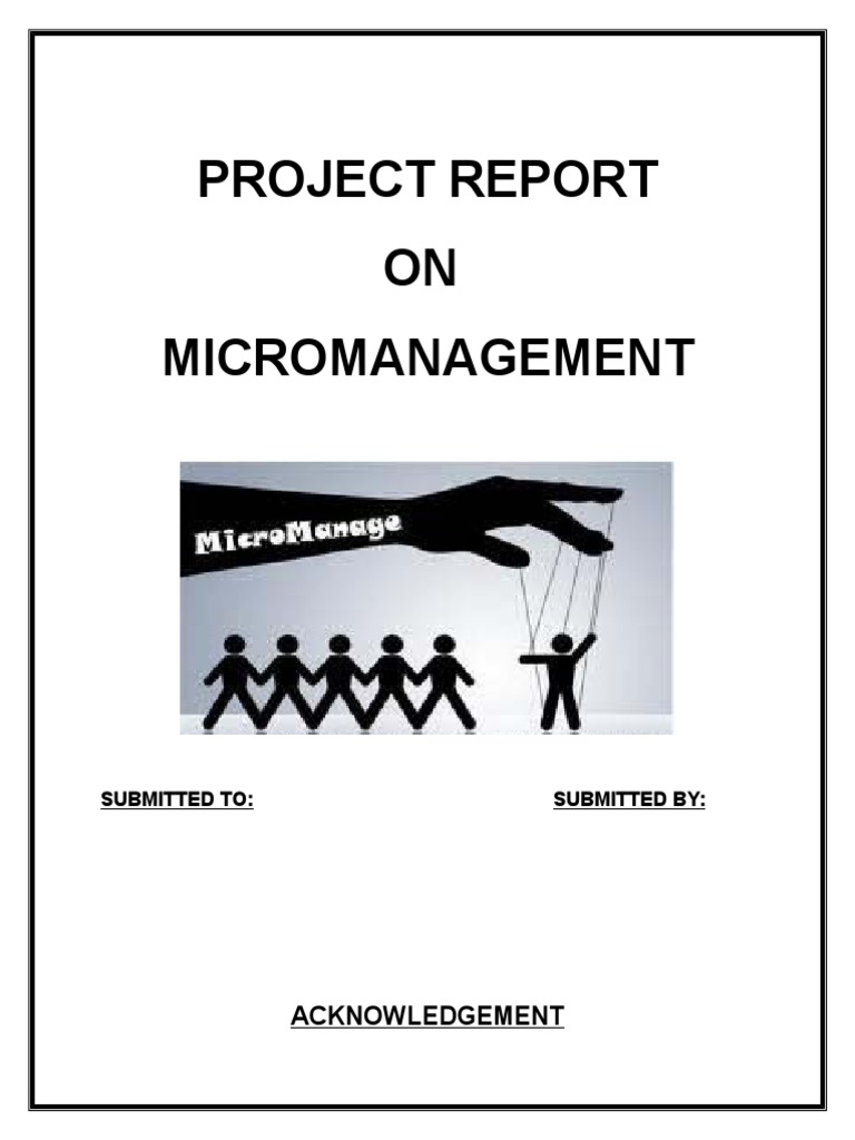 Micro Management | PDF | Behavioural Sciences | Action (Philosophy)