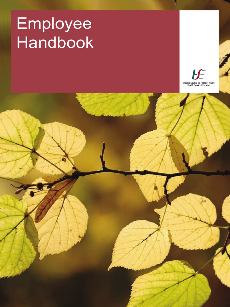 Employee Handbook | Download Free PDF | Occupational Safety And Health ...