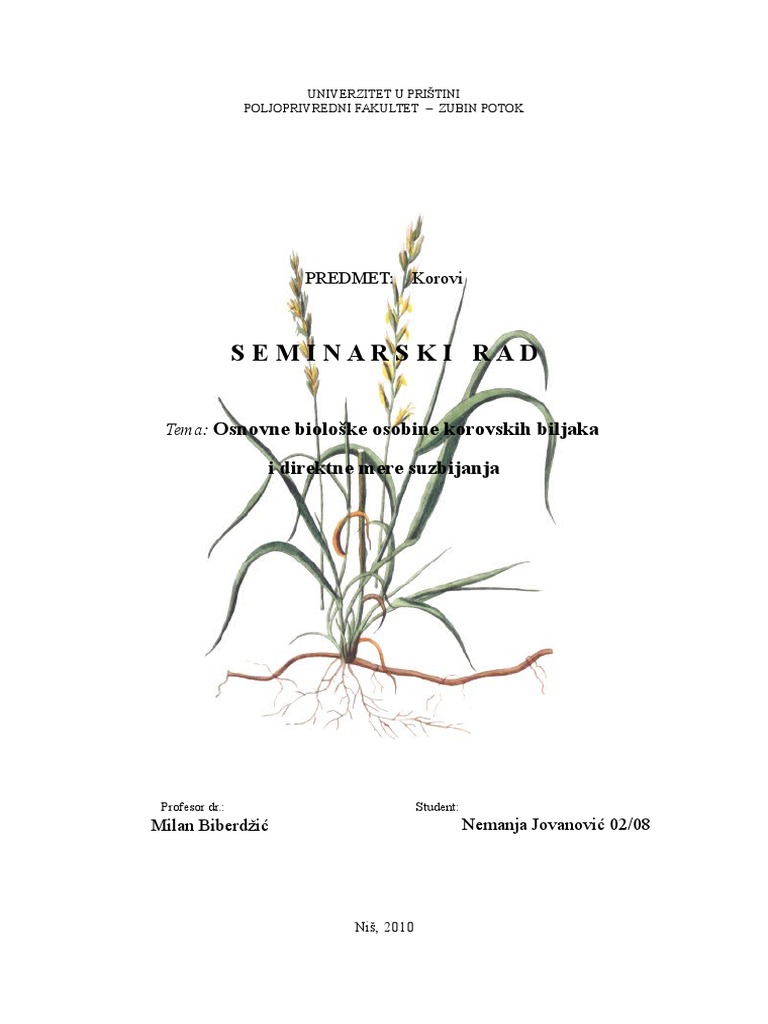 Korovi - Jovanovic Nemanja | PDF