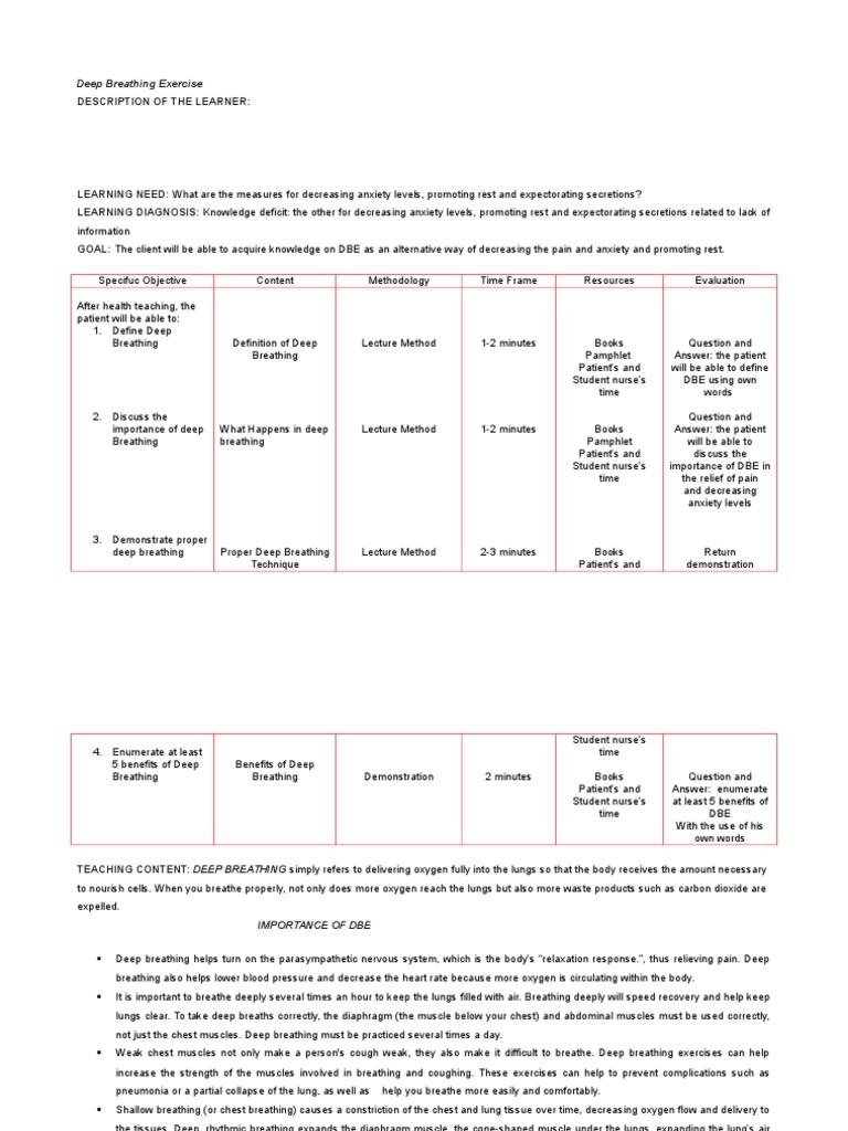 Teaching Plan (DBE) | PDF | Breathing | Lung