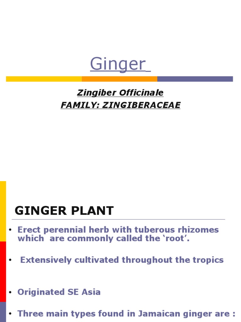 Pharmacology of Ginger | PDF | Ginger | Osteoarthritis