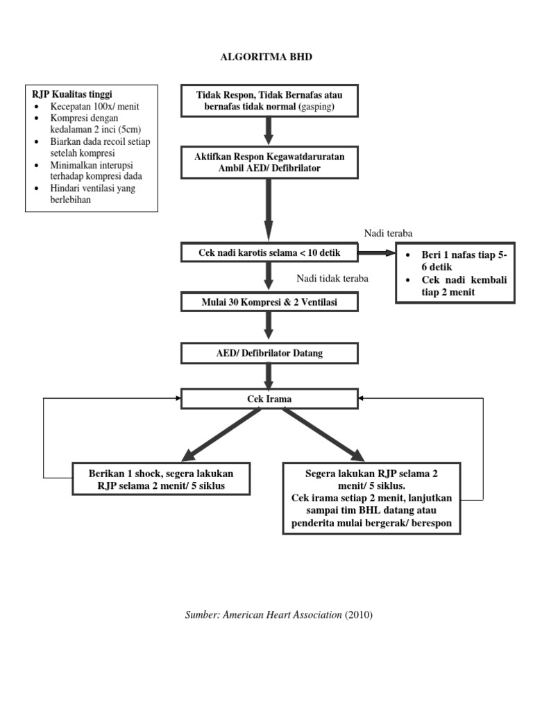 Algoritma BHD PDF | PDF