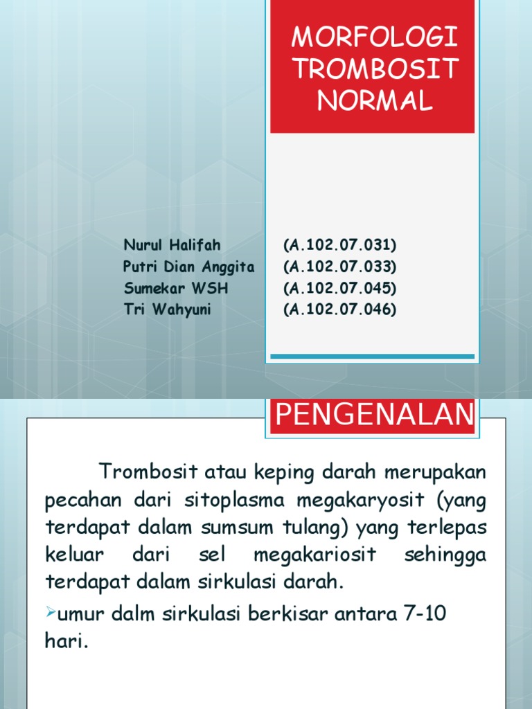 Trombosit Normal 2 | PDF