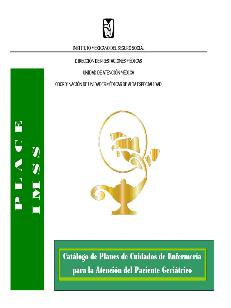 Place SX Geriatricos | PDF | Vejez | Enfermería