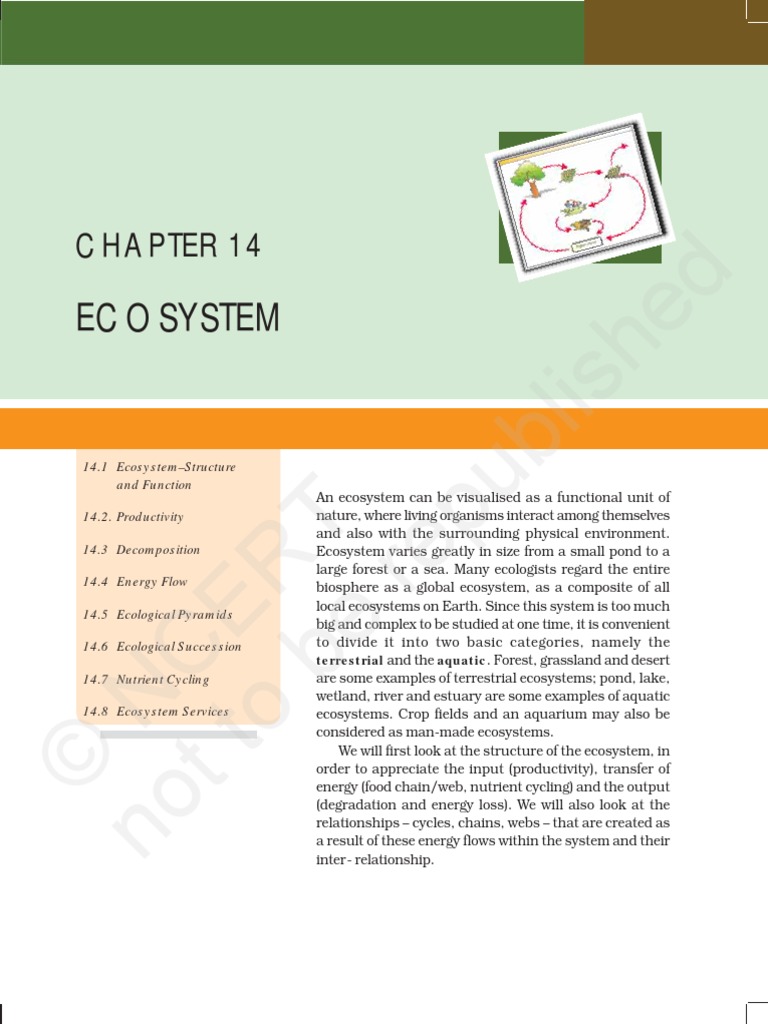 Ecosystem PDF | PDF | Food Web | Ecosystem