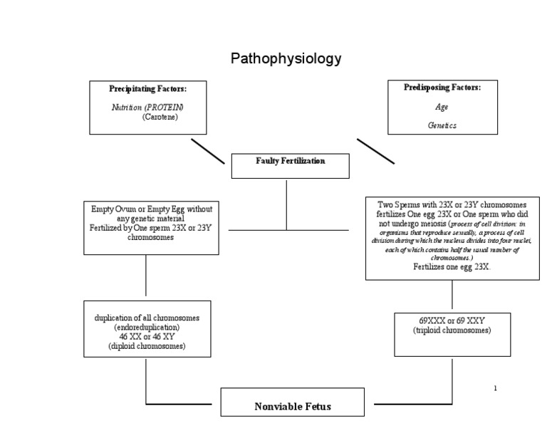 Pathophysiology: Precipitating Factors: Predisposing Factors | PDF