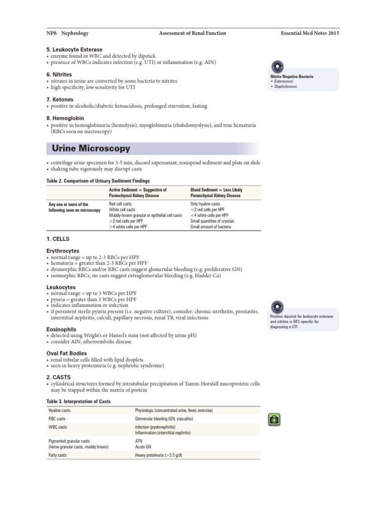 Toronto Notes Nephrology 2015 6 | PDF | Nephrology | Urology