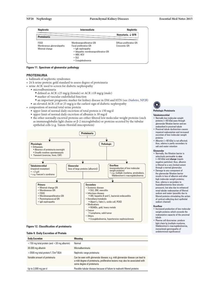 Toronto Notes Nephrology 2015 20 | PDF | Kidney Disease | Medical ...