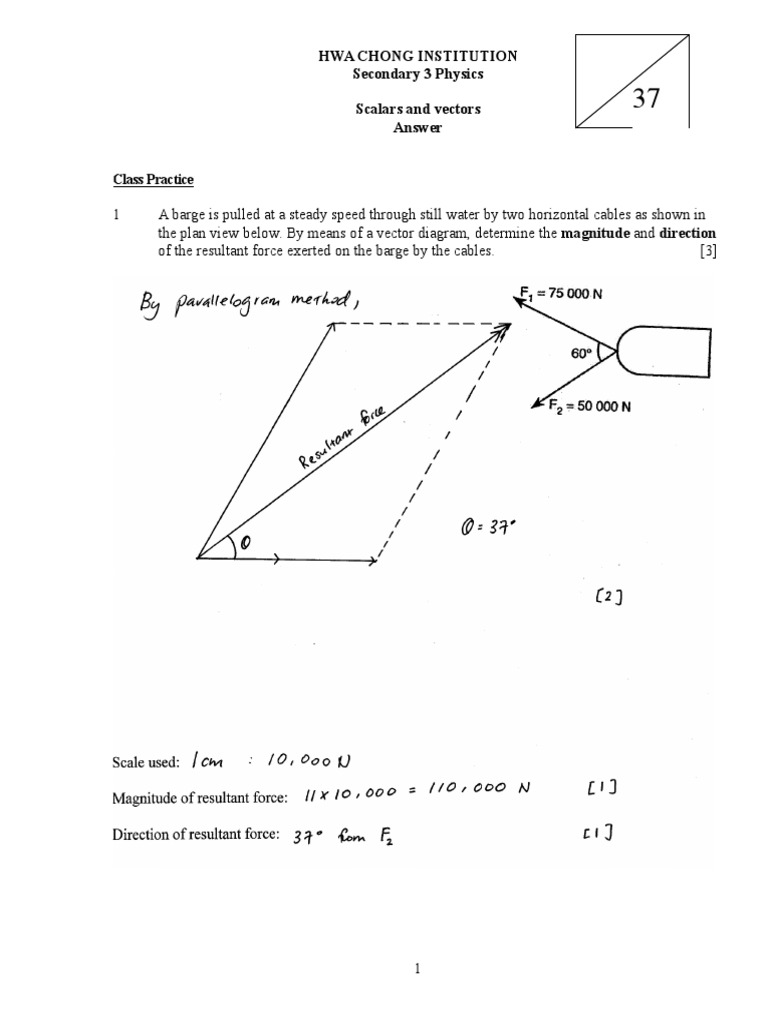 Vector Worksheet 10 Ans | PDF | Euclidean Vector | Tension (Physics)